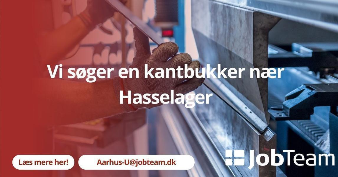 Vi søger en kantbukker nær Hasselager